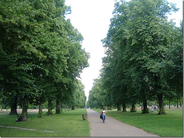 Things That Inspire: Allée of trees